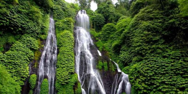 MUNDUK : Jungle Trekking Day Tour - Exploring Bali’s Hidden Jungle Treasures: The Munduk Jungle Trekking Day Tour