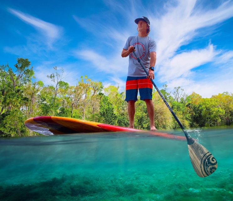 Naples, FL: Guided Standup Paddleboard or Kayak Tour - An Honest Look at the Guided Paddle Tour Near Naples and Marco Island
