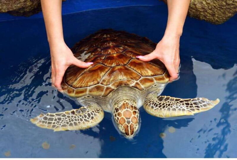 Negombo/Colombo:Private Galle Dutch Fort & Madu River Safari - Key Points