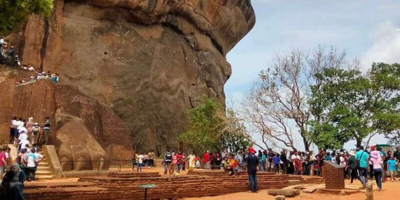 Negombo: Sigiriya Rock and Minneriya National Park Day Tour - Key Points