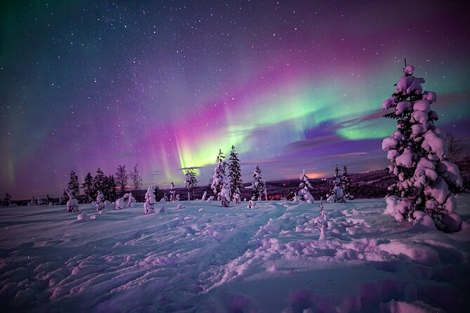 Night Snowshoeing Adventure under the Northern Lights - Key Points