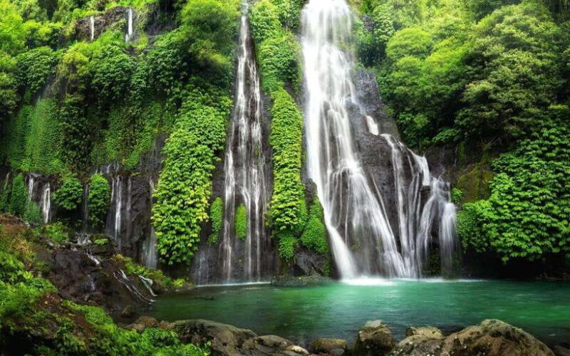 North Bali Nature Escape: Rice Terraces, Temples & Waterfall - Key Points