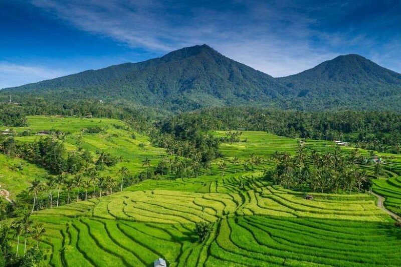 North Bali: Private Day Tour with Banyumala Waterfall - Key Points