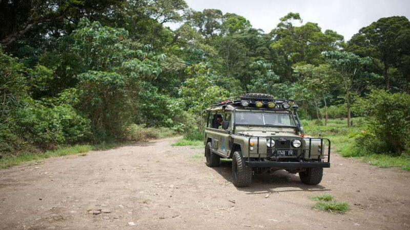 North Bali: Private Guided 4x4 Jeep, Cycling & Hot Spring - Key Points