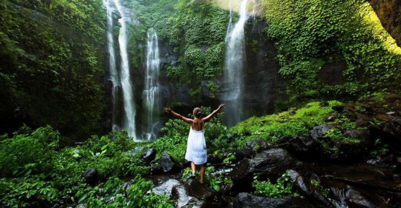 North Bali: Sekumpul Waterfalls and Ulun Danu Temple Tour - Key Points