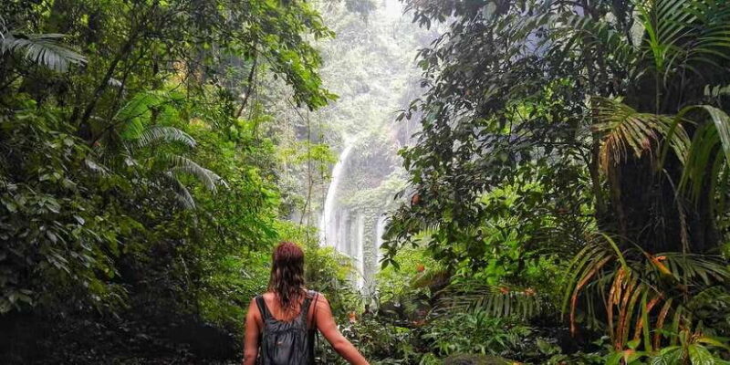 North Lombok: Sendang Gile Waterfall & Senaru Village Tour - Key Points