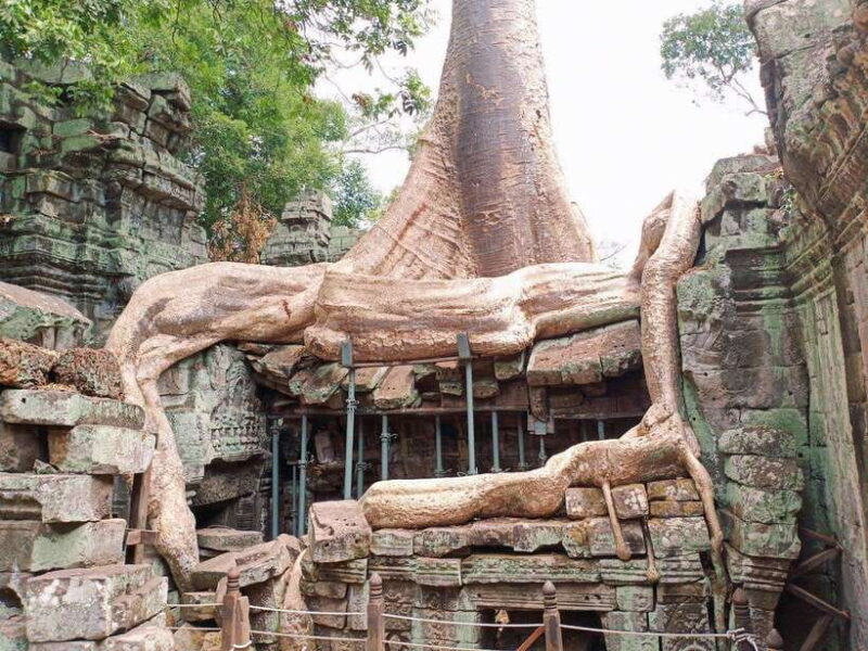 One Day Shared Trip to Angkor Temples with sunset - Exploring the Ancient Wonders of Angkor: A Practical Review of the One Day Shared Trip with Sunset