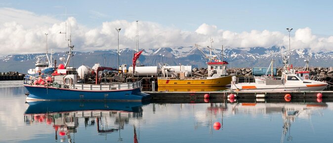 Original Big Whale Safari & Puffins Speedboat Tour from Húsavík - Key Points