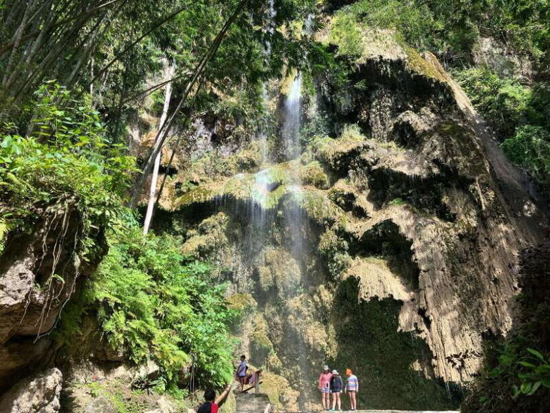 Oslob Whale Shark & Tumalog Waterfalls & Sumilon Sandbar - Key Points