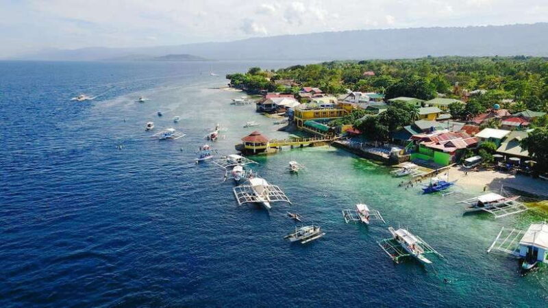 Oslob: Whale Sharks, Tumalog Falls, & Monkey Sanctuary Tour - Key Points