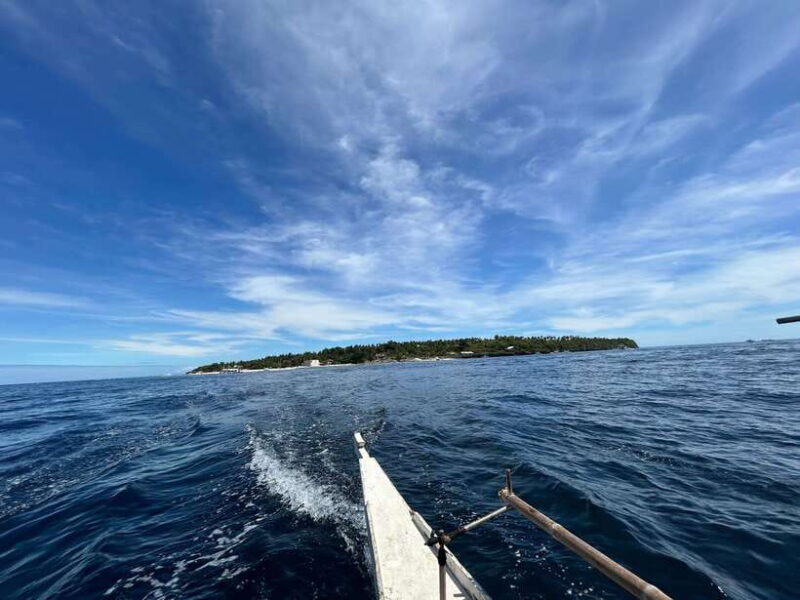 Pamilacan island: Dolphins, snorkel, lunch and walking tour - Key Points