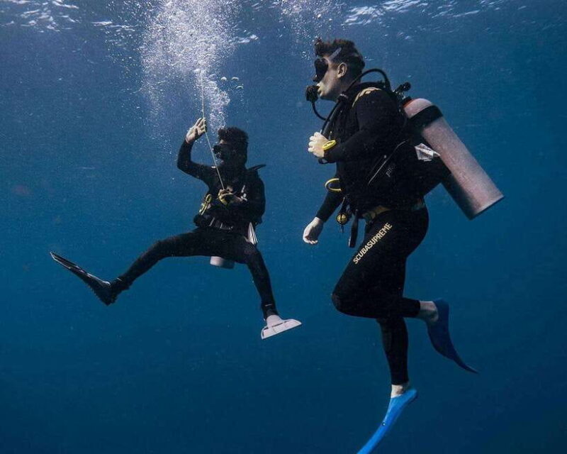 Panglao Bohol: Try Scuba Diving at Napaling and Sardines - Key Points