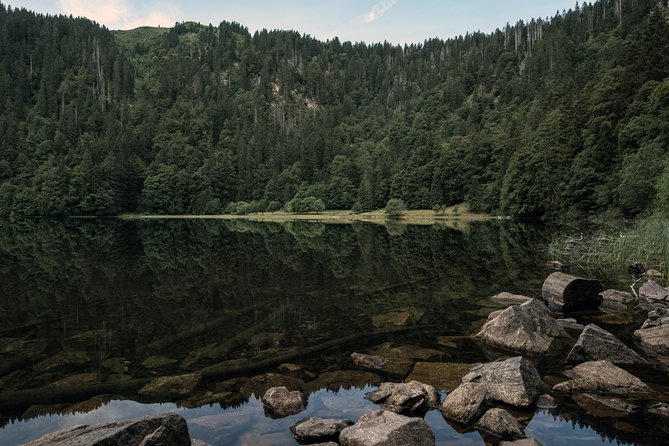 Panorama Hike through the Black Forest guided by a Local - An Authentic Black Forest Experience: Guided Panorama Hike with a Local