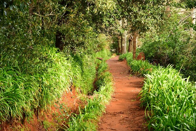 Paradise Valley Madeira Island Walk - Introduction