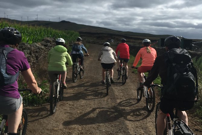 Patchwork e-Bike Ride - An In-depth Look at the Patchwork e-Bike Ride