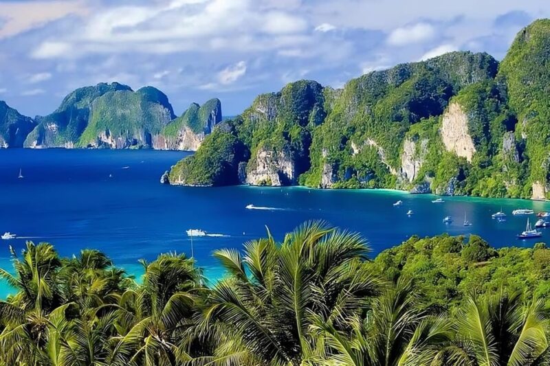 Phi Phi and Bamboo Islands Speedboat Tour with Fins - Key Points