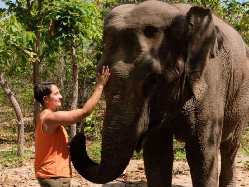 Phnom Tamao Wildlife Center & Buddha Kiri Cambodia Day Tour - Key Points