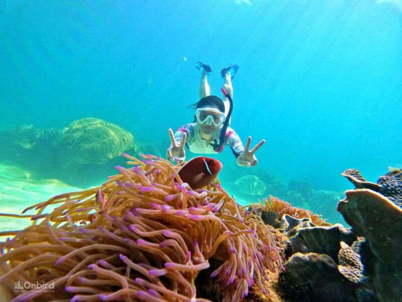 Phu Quoc: Speed Boat Tour 4 Islands - 2 Reefs Snorkeling - Key Points