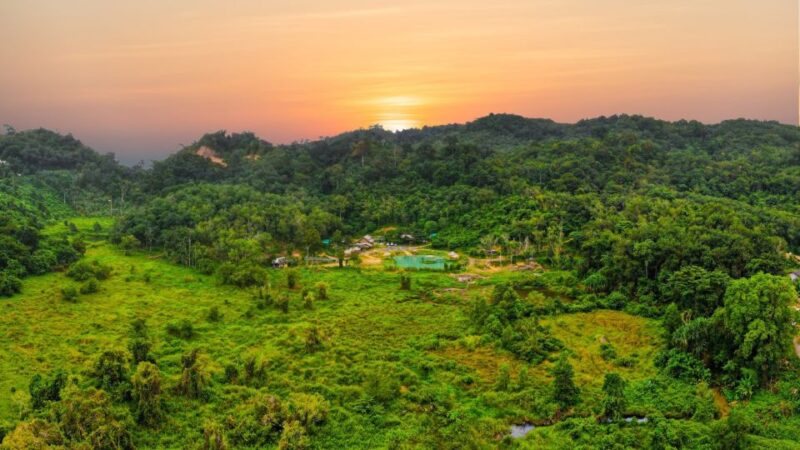 Phuket: Full-Day Elephant Explorer at Phuket Elephant Care - Key Points