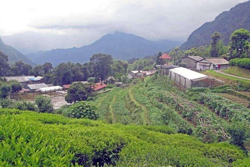 Pokhara: 4-Day Mardi Trek with Guide & Accommodation - Key Points