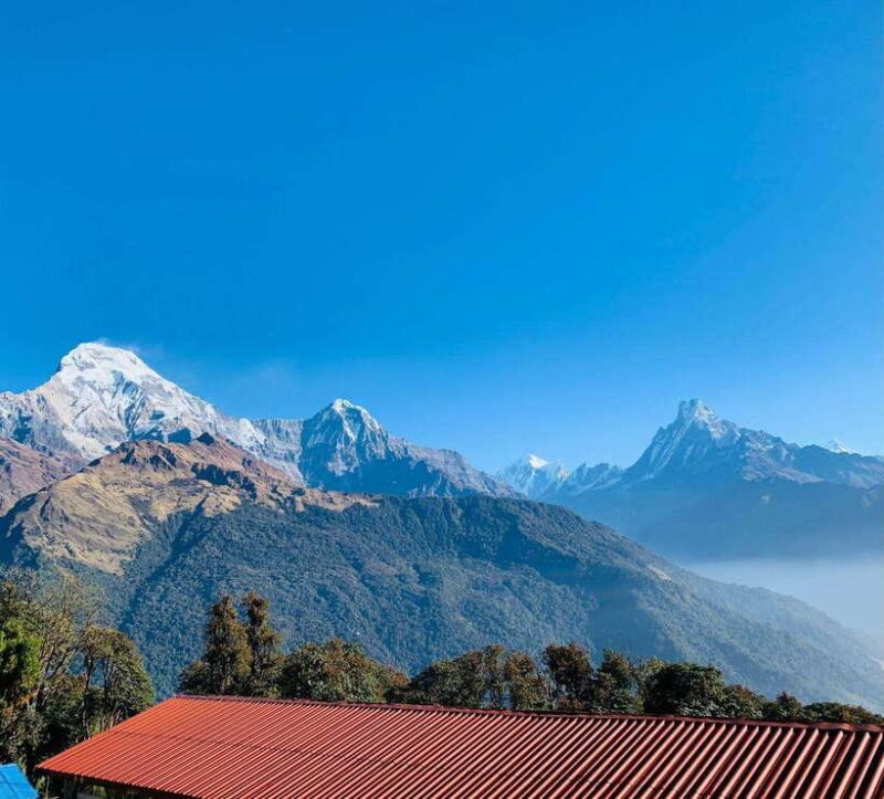 Pokhara: 5-Day Annapurna Poon Hill Trek and Chitwan Tour - Key Points