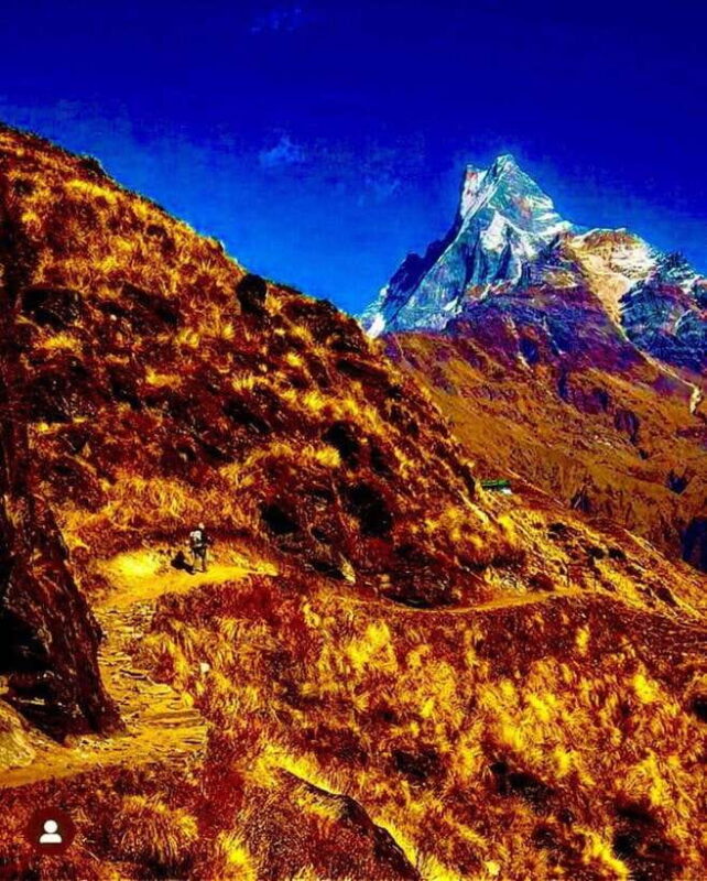 Pokhara: Mardi Himal Trek with 1 Night in a Forest Camp - Key Points