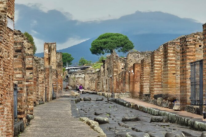 Pompeii Private Guided Tour from Naples - A Closer Look at the Pompeii Private Guided Tour