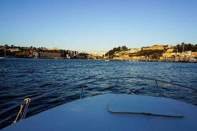 Porto: Private Tour to D. Luís Bridge (1h), group price up to 6px - A Detailed Look at the Experience