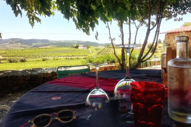 Premium Douro Valley Small-Group Tour, Wine Tasting, Lunch & Boat - The Itinerary in Detail: What Makes Each Stop Special