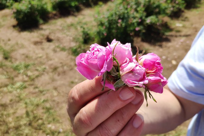 Private Access Rose Festival Kazanlak 06-08.06.2025 - Exploring the Private Access Rose Festival Kazanlak Tour: A Detailed Review