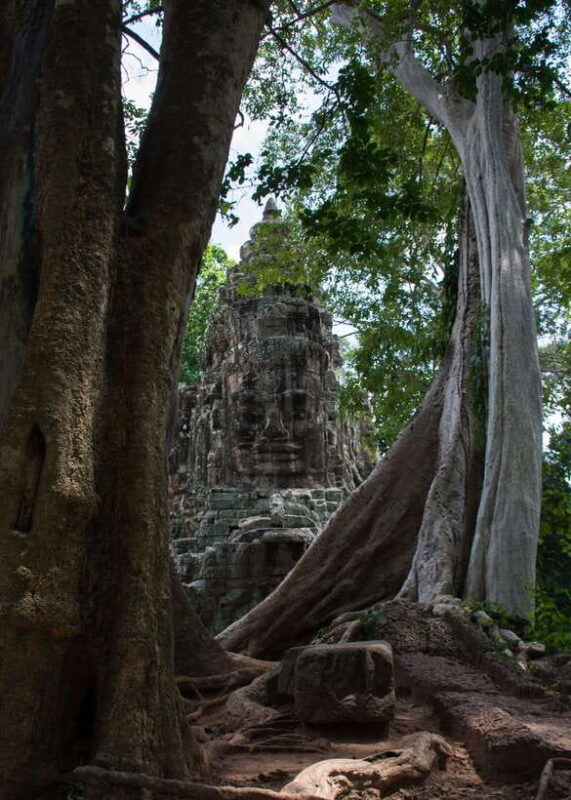 Private Angkor Wat Temple Tour - Key Points