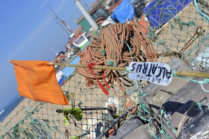 Private Best Fish Experience From Porto - Exploring the Best Fish Experience From Porto