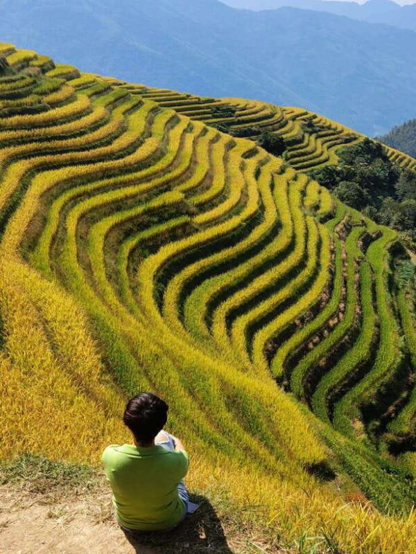 Private Custom Tour: 2 day Longji Rice Terraces Private Tour - The Itinerary Breakdown