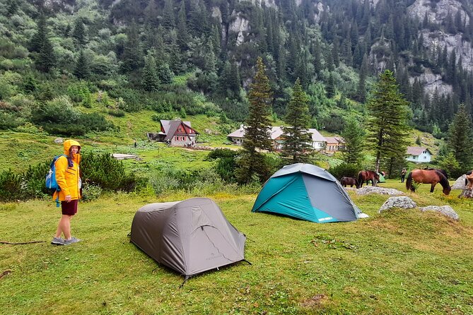 Private day hike from Brasov to Malaiesti Cottage - Key Points