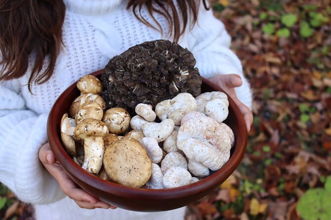 Private Daytrip for Truffle Mushroom Foraging and Wine Tasting - Exploring the Private Daytrip for Truffle Mushroom Foraging and Wine Tasting