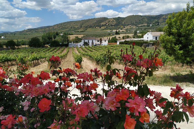 Private Excursion to Ronda from Costa del Sol 7 Hours - The Value of the Experience