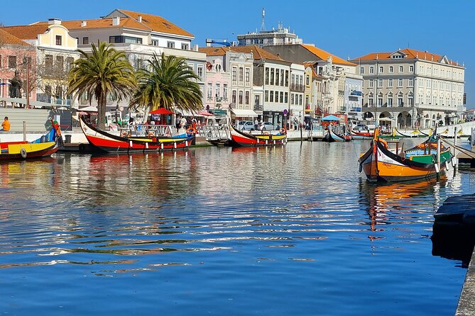 Private Full day Tour to Aveiro and Porto - Exploring Porto: The Heart of the North