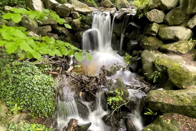 Private Garden of Ireland Wicklow Tour from Dublin - Introduction