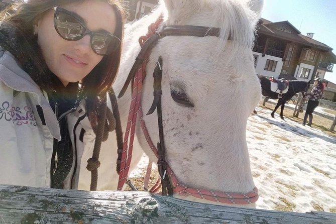 Private Horseback Riding the Rila Range - Key Points