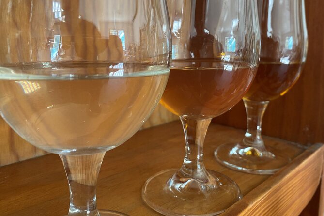 Private Mead Taste Experience in Lourdes - Exploring the Private Mead Taste Experience in Lourdes