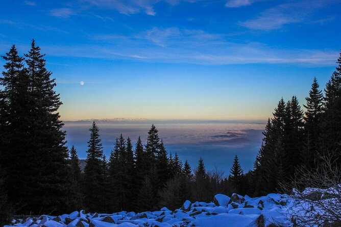 Private Mountain Biking in Vitosha from Sofia - Discover Vitosha Mountain on a Private Mountain Biking Tour from Sofia