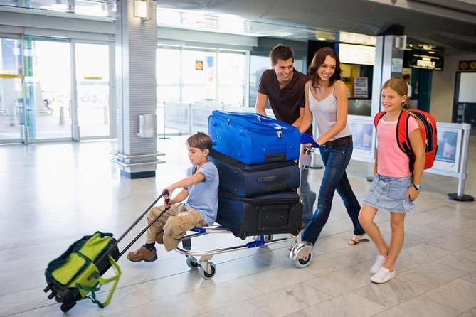 Private Shuttle from Charles de Gaulle Airport to Paris: Premium Service - Introducing the Private Shuttle from Charles de Gaulle to Paris: Premium Service