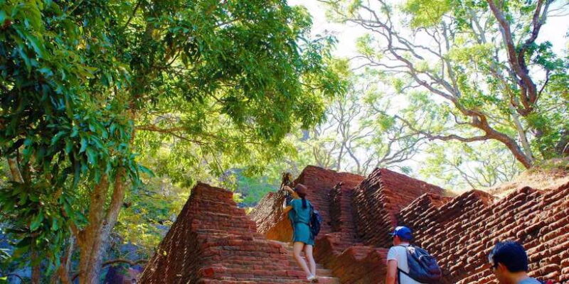 Private Sigiriya and Dambulla Day Tour from Colombo - Key Points
