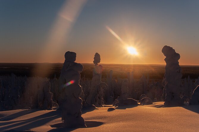 Private Snowshoe or Ski Adventure in Lapland - A Closer Look at the Private Snowshoe or Ski Adventure in Lapland