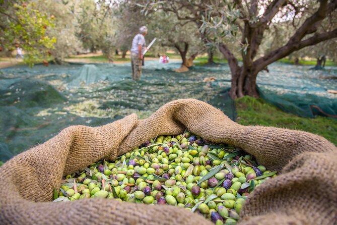 Private Tailored Full-Day Taste Tour in Lefkada with Pick Up - Exploring Lefkada’s Hidden Charms: A Detailed Look at the Private Taste Tour