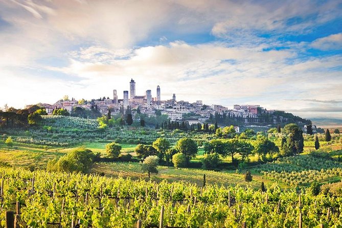 Private tour from Livorno port to San Gimignano & Volterra - A Deep Dive into the Experience