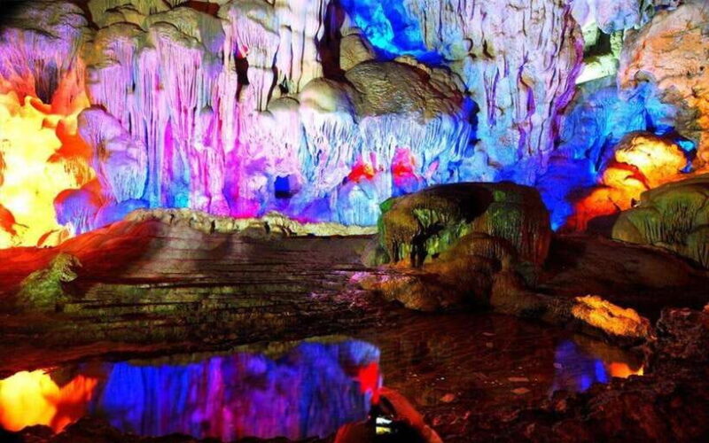 Private Tour Ha Long Bay 1 day & Choose Language Tour Guide - Introduction