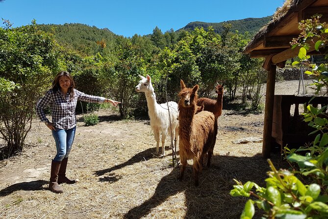 Private Tour - Hike and wine tasting at the Penedés - Key Points