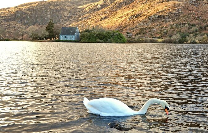 Private tour to Gougane Barra and Glengarriff - Key Points