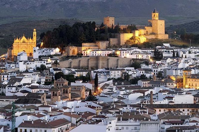 Private tours from Malaga to Antequera and the Dolmens for up to 8 persons - An Authentic Day Trip from Malaga to Antequera and the Dolmens